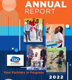 Annual Reports & Investor Relations – TDC Group Limited